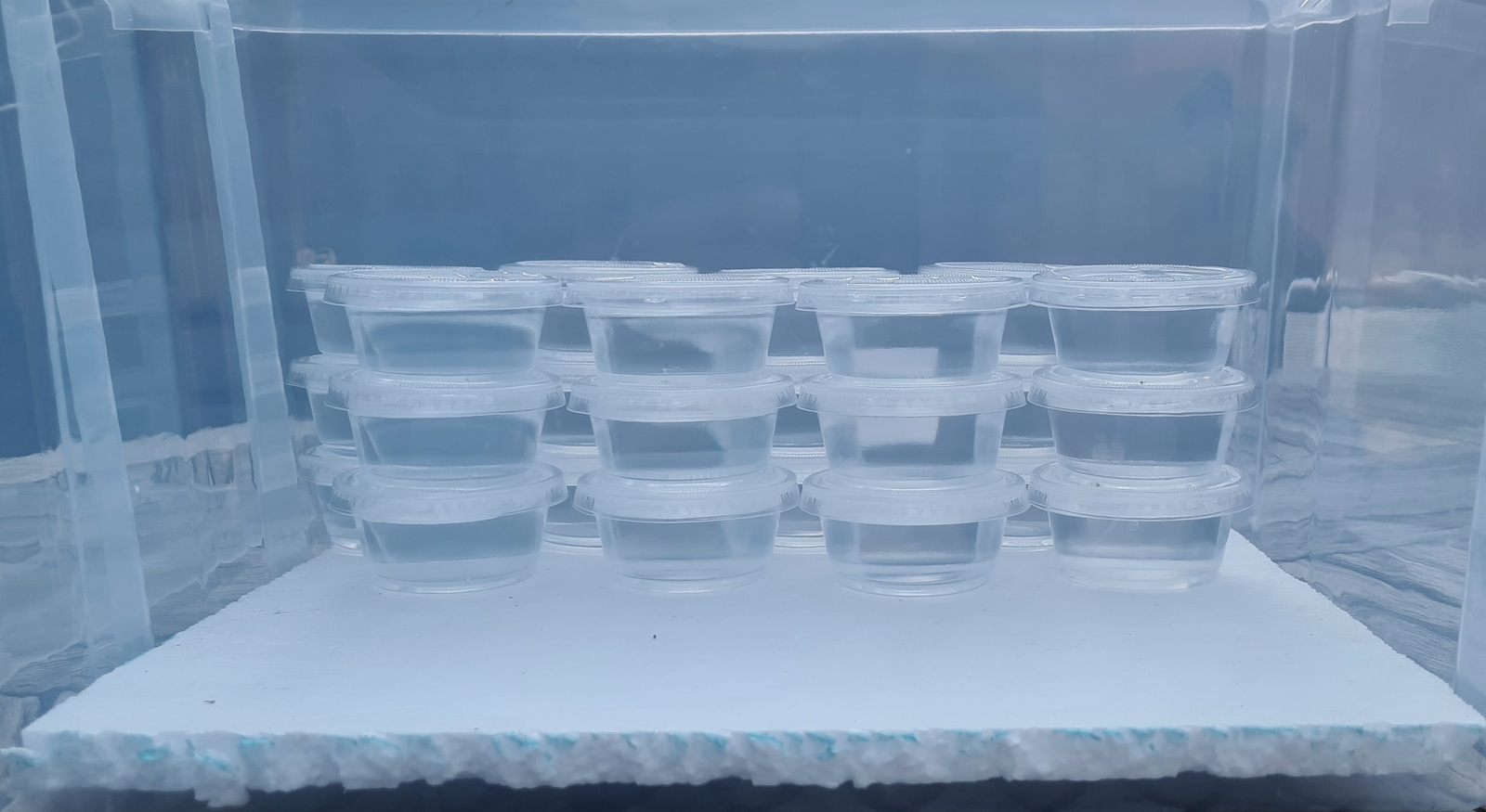 Home | Journal of Emerging Investigators